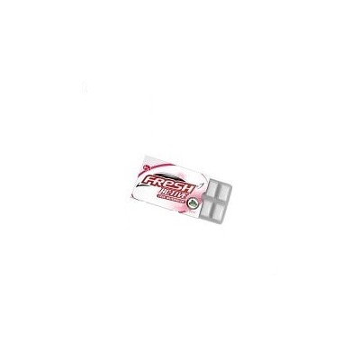 Fresh Active Chewing Gum Mint 16.8g