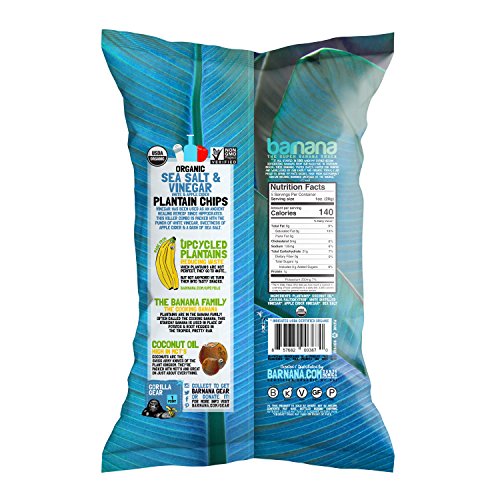 Floydeez Salt And Vinegar Plantain 50G