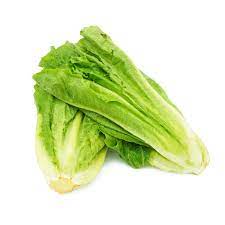 Fresh Lettuce Cos Pack (2Pcs)